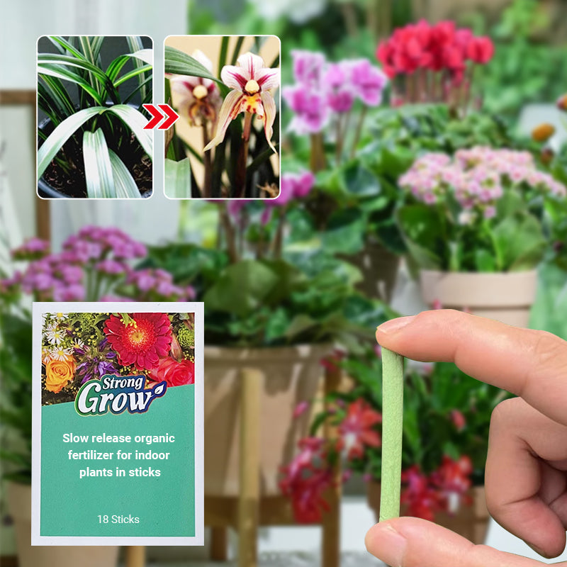 Plant Slow-release Stick Organic Fertilizer – Ooyot